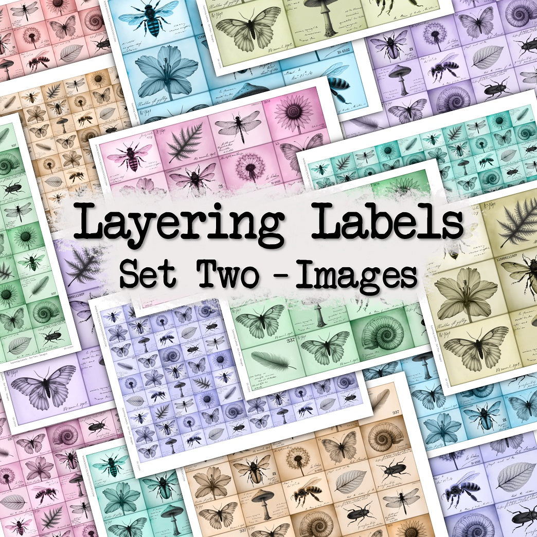 Layering Labels - Set Two - Images - DI-10294 - Digital Download ...