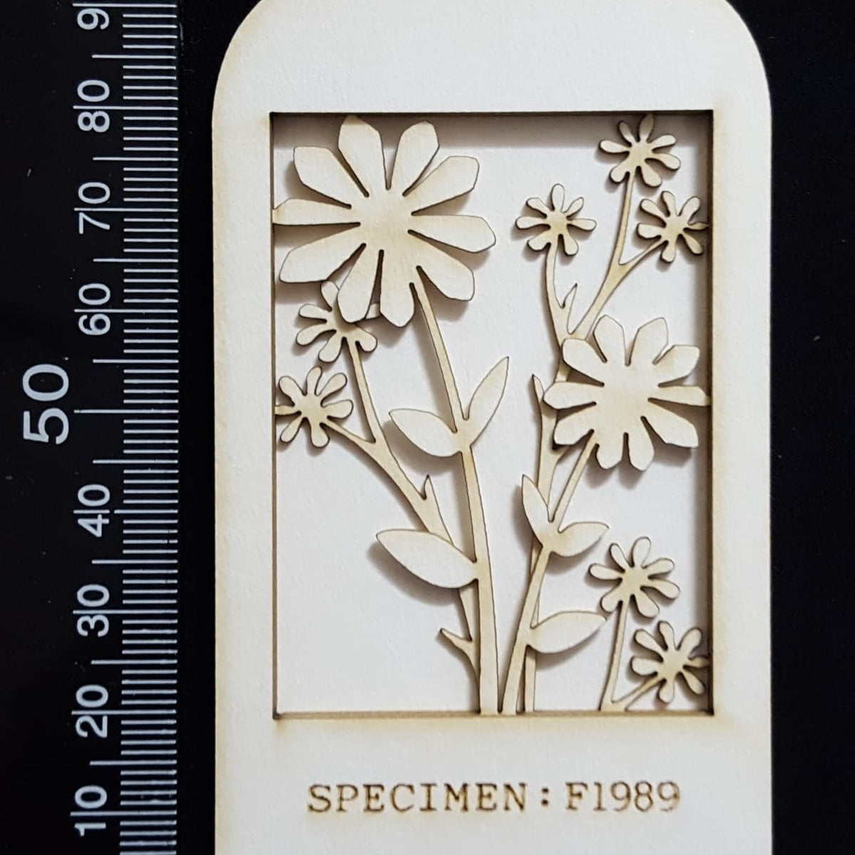 Botanical - Mini Shadow Box - C - White Chipboard – Whichcraft Do You Do