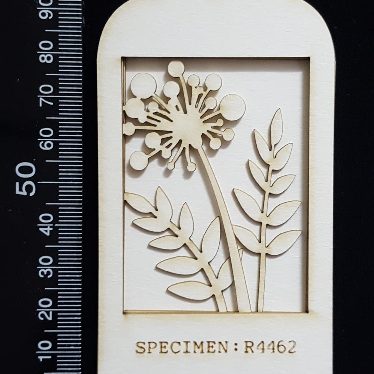 Botanical - Mini Shadow Box - D - White Chipboard – Whichcraft Do You Do