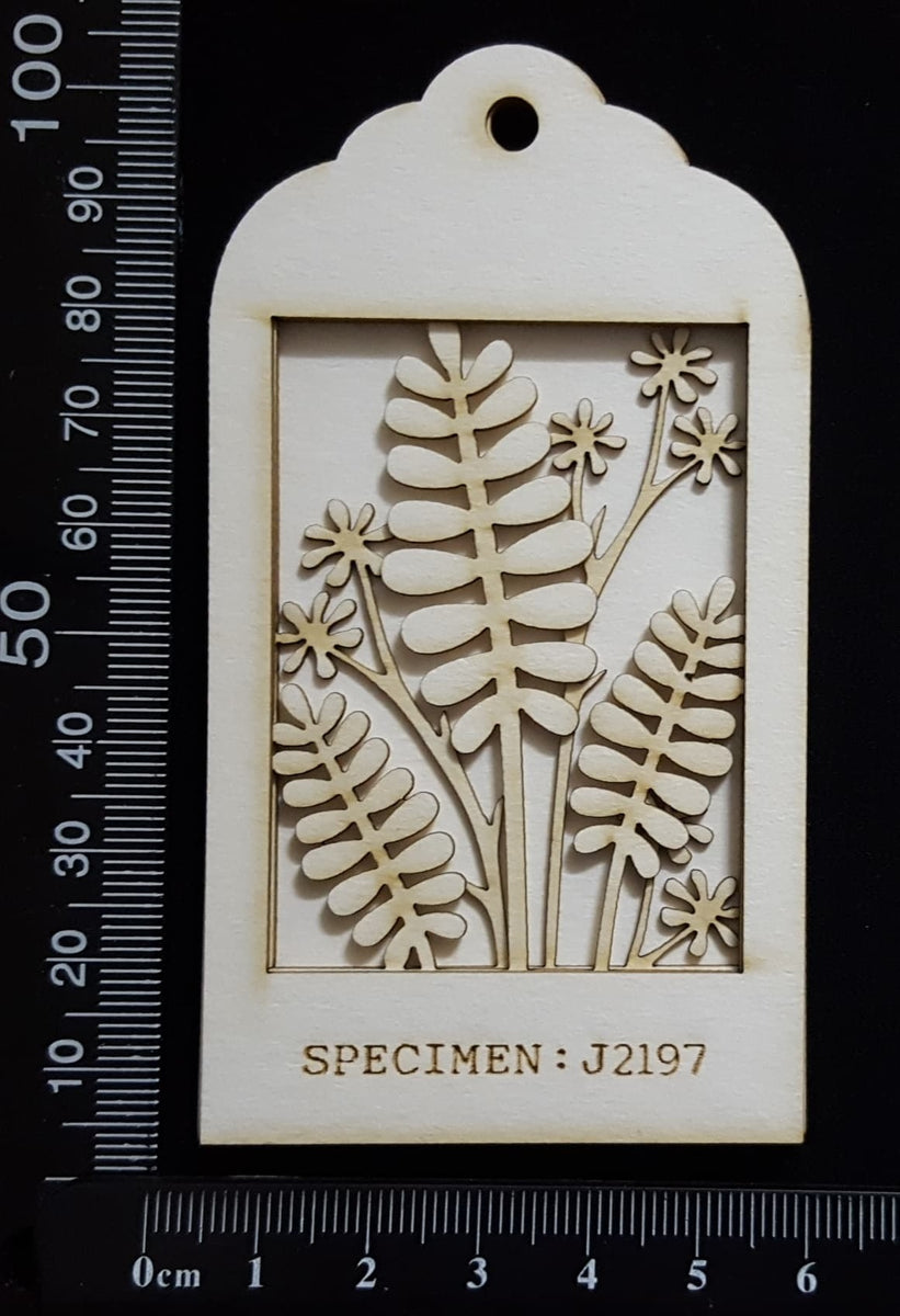 Botanical - Mini Shadow Box - G - White Chipboard – Whichcraft Do You Do